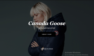 15 CSS Hero Section Designs (Demo + Free Code)