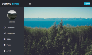 15+ CSS Dashboard Designs For Data Visualisation